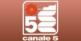 Canale 5: guardare il live in streaming su internet